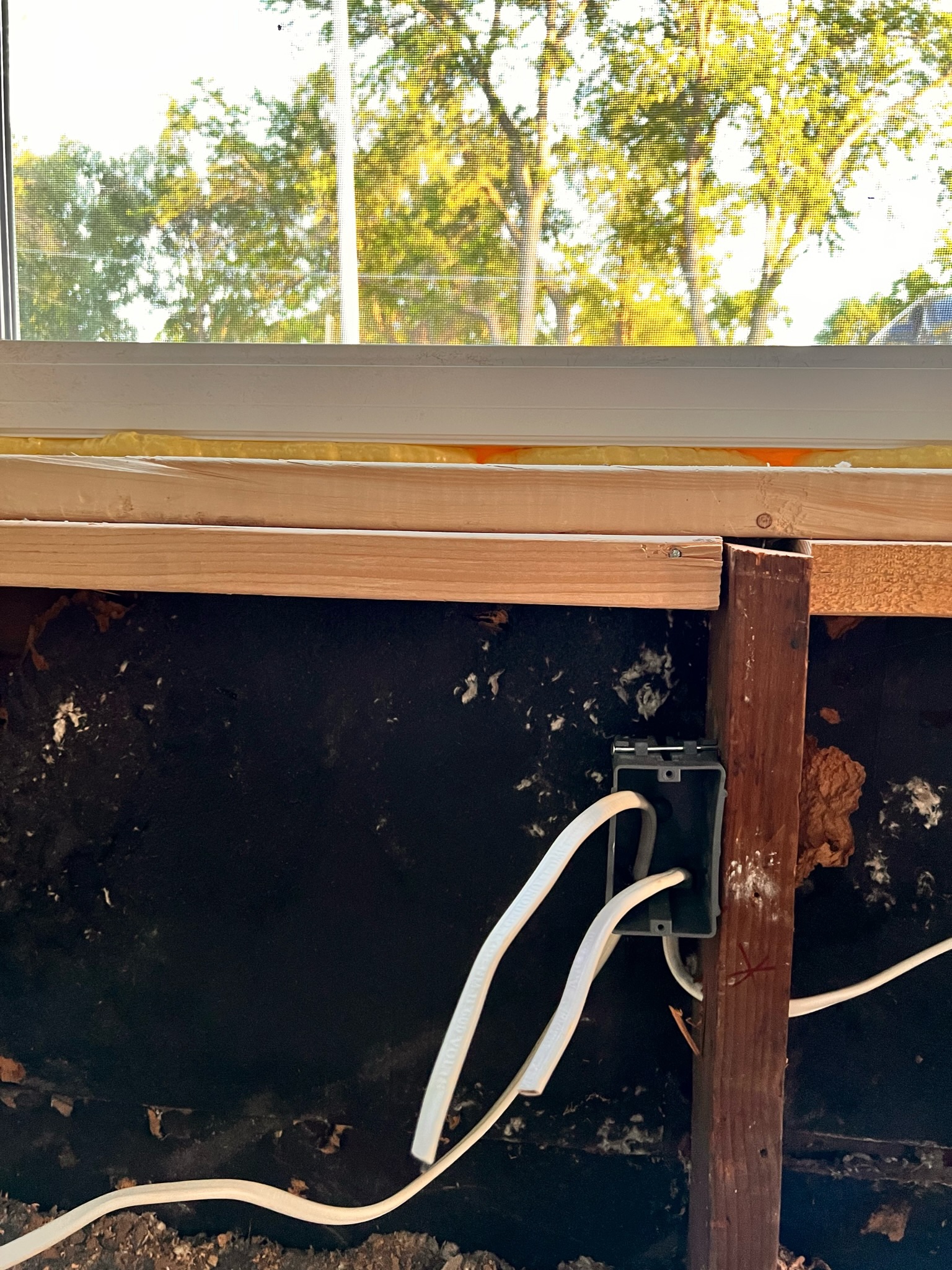 Boxes and wires and…snakes? – Flipping (mis)Adventures